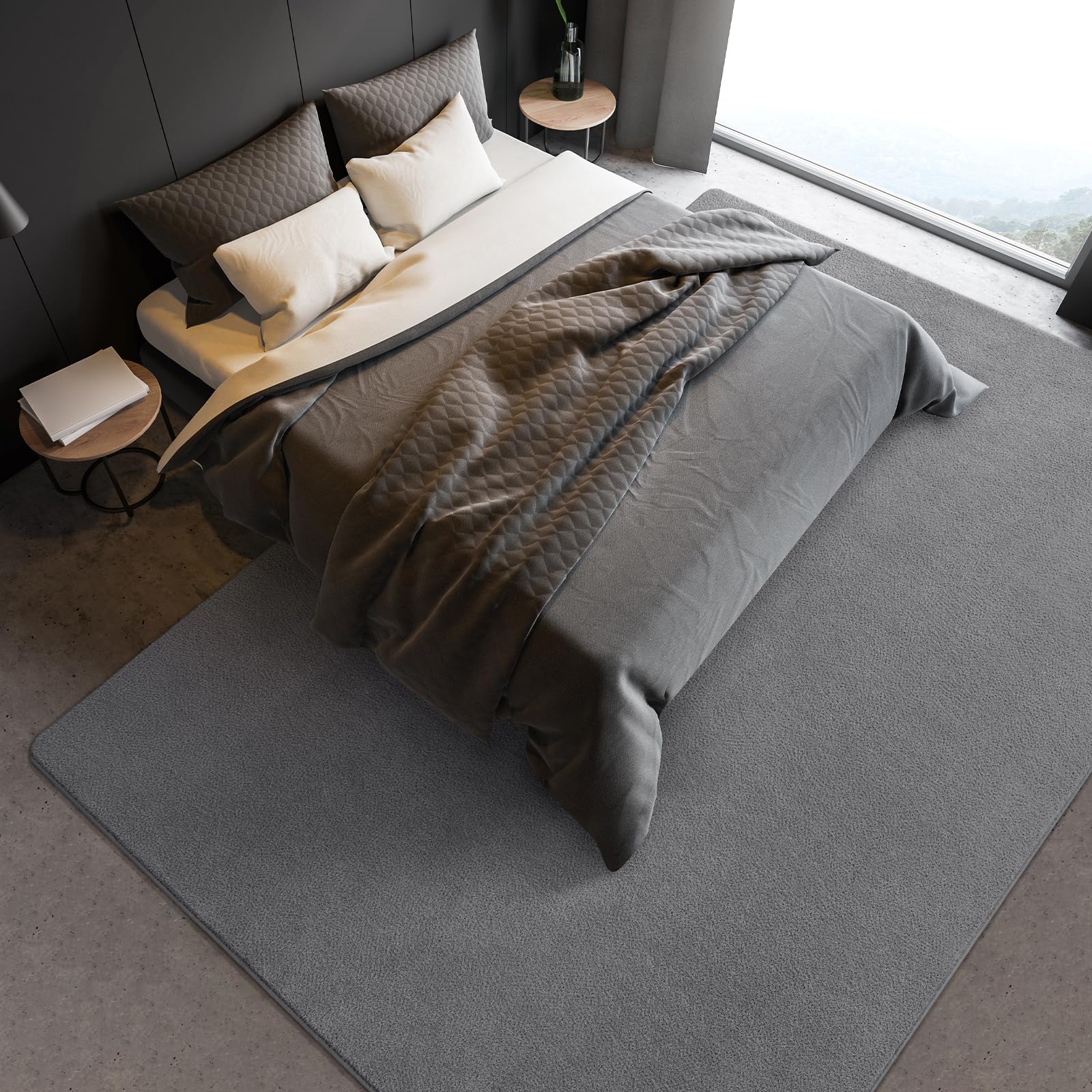 Amazon.com: Large Grey Rugs for Living Room, Minimalist Area Rugs 6x9 ...