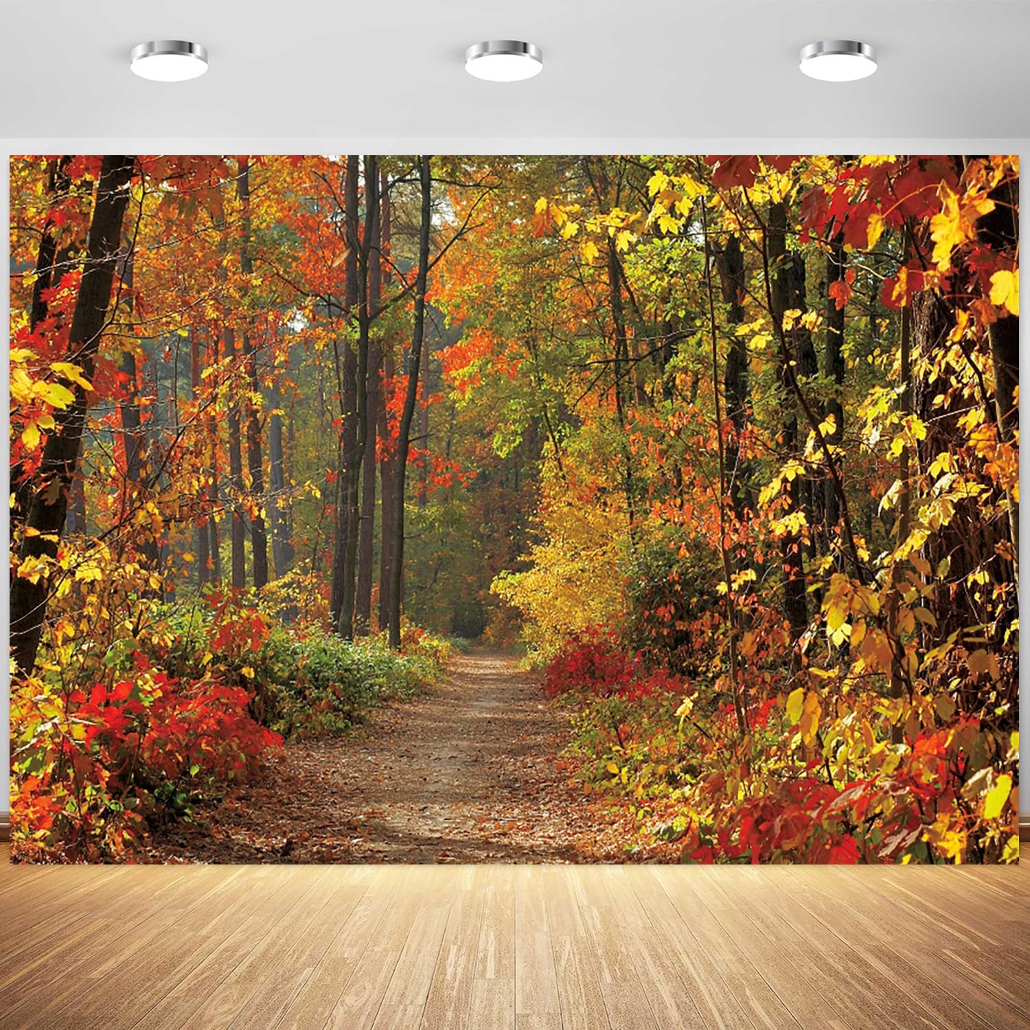 Amazon.com : 10x8ft Autumn Scenery Deciduous Backdrop Fall Woodland ...