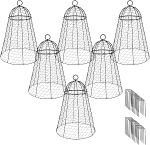 Amazon.com : Garden Cloches for Plants,Sapbontchi Extra Large Garden ...