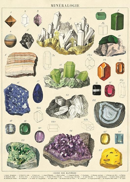 Amazon.co.jp: Cavallini ポスター 鉱物 928732 : ホーム＆キッチン