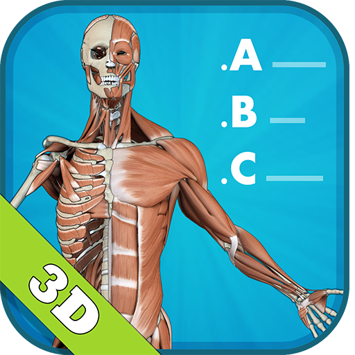 Anatomy Quiz - muscles and bones - App on Amazon Appstore