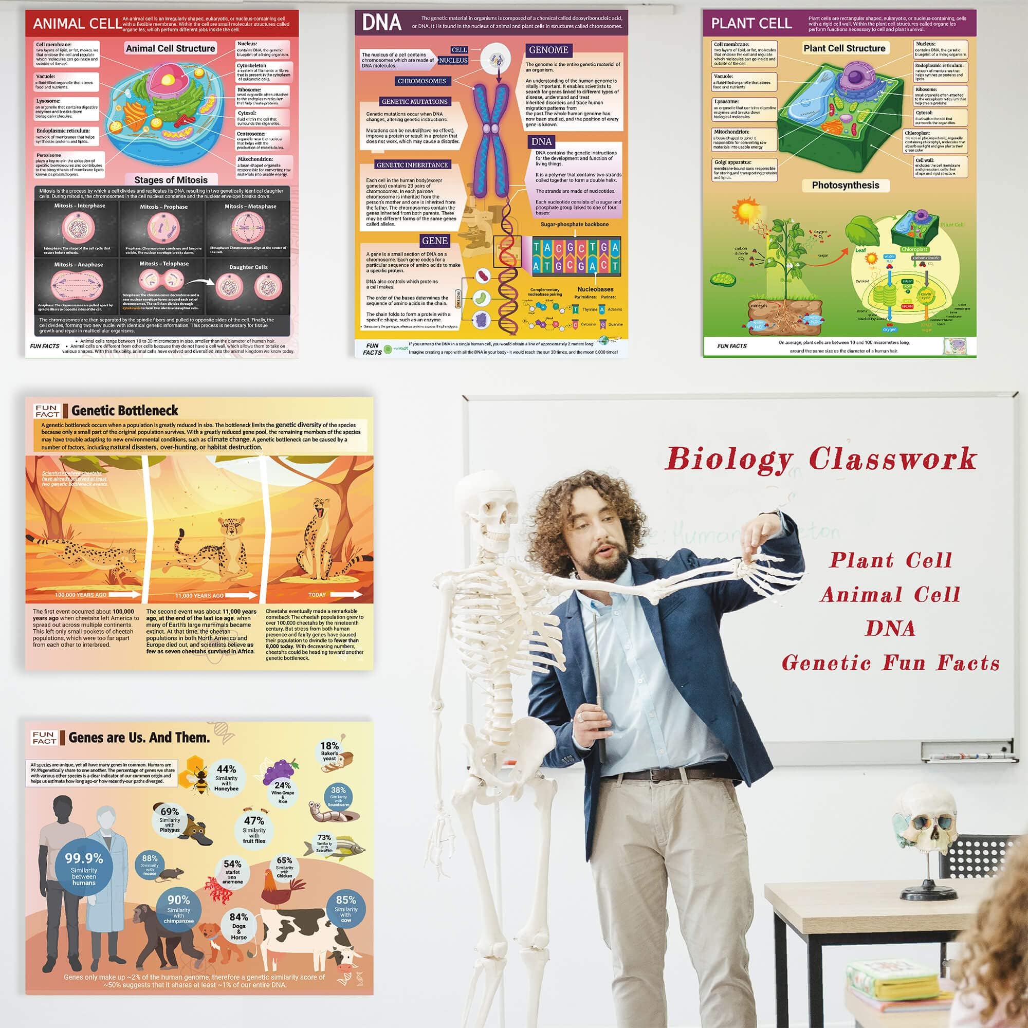 Science Posters For School Classroom Decorations 6 Biology Posters ...