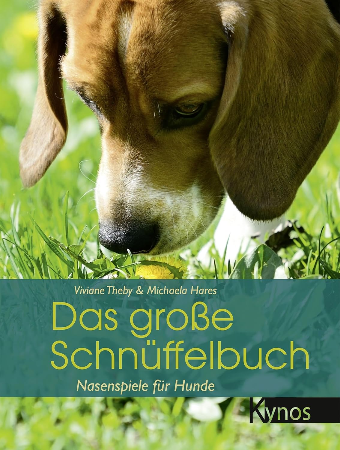 Das große Schnüffelbuch: Nasenspiele für Hunde (Das besondere Hundebuch ...