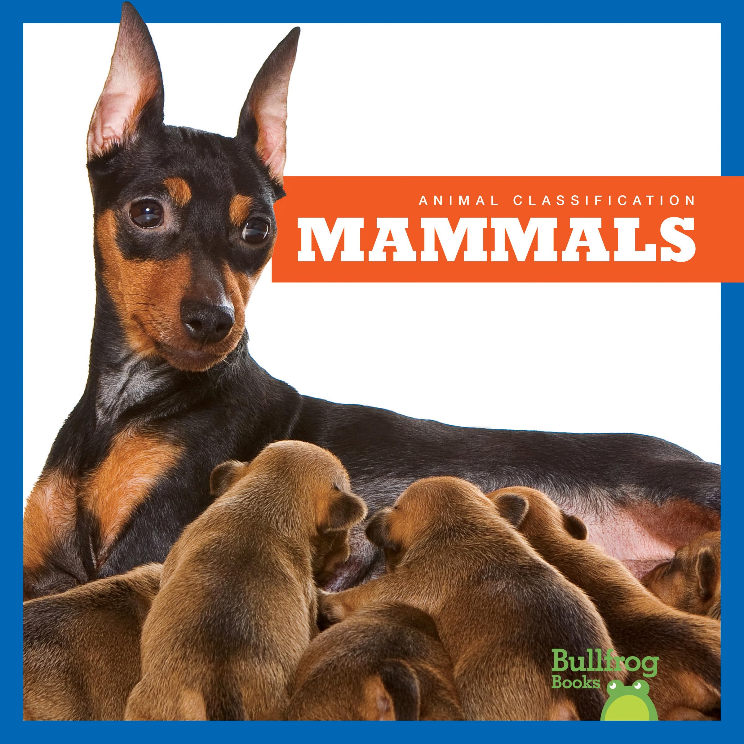 Amazon.com: Mammals (Bullfrog Books: Animal Classification ...