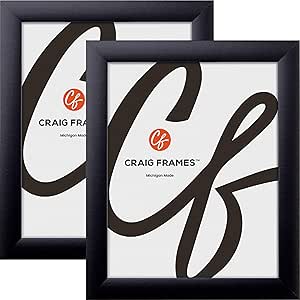 Amazon.com - Craig Frames Contemporary, 12x34 Black Picture Frame, 1 ...
