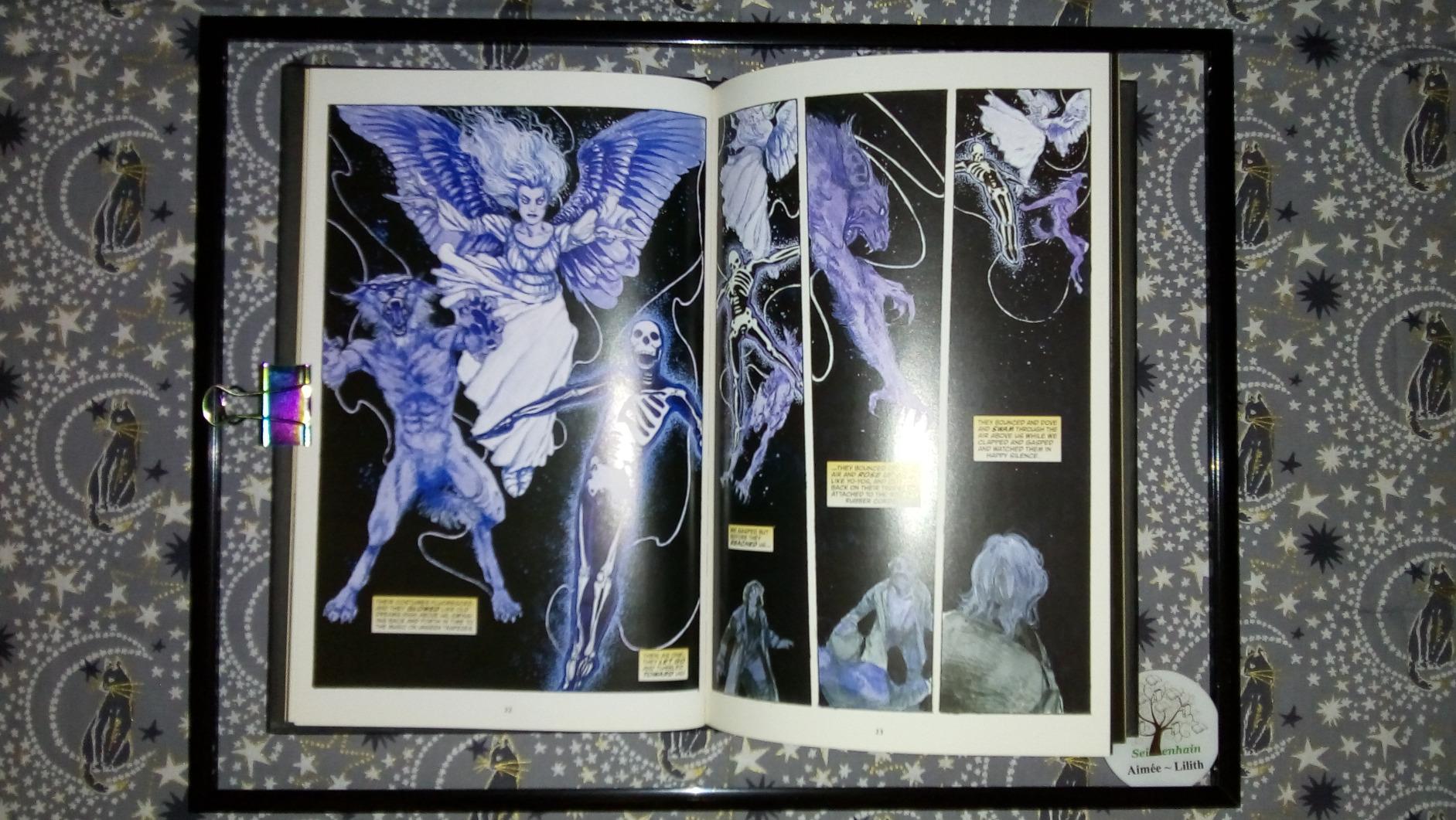 The Facts in the Case of the Departure of Miss Finch : Gaiman, Neil ...