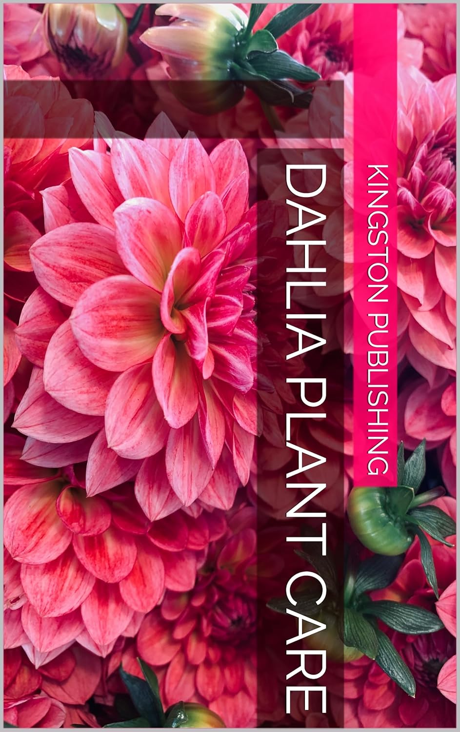 Dahlia Plant Care (Growing Flowers) - Kindle edition by Publishing ...