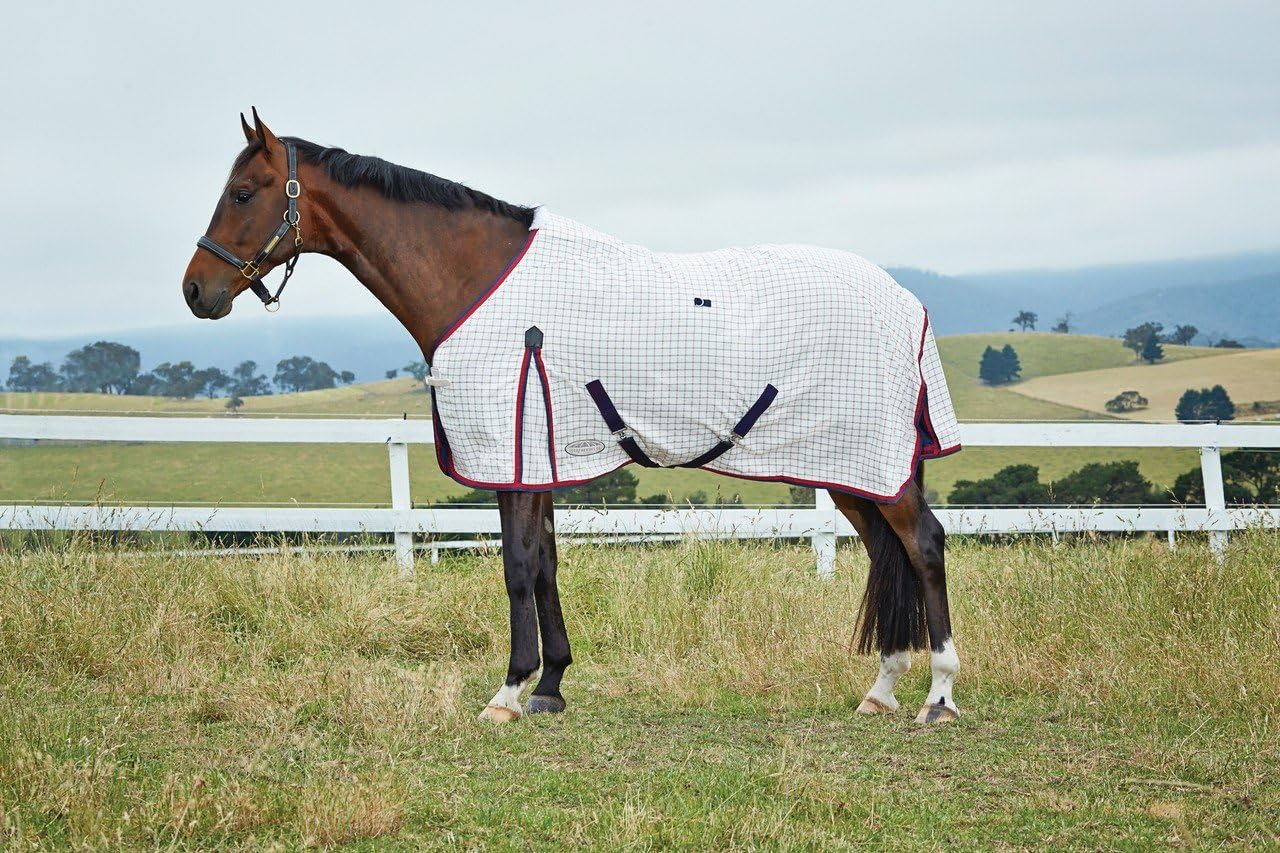 Amazon.com: Weatherbeeta Summer Sheet Lite Standard Neck 87 : Sports ...