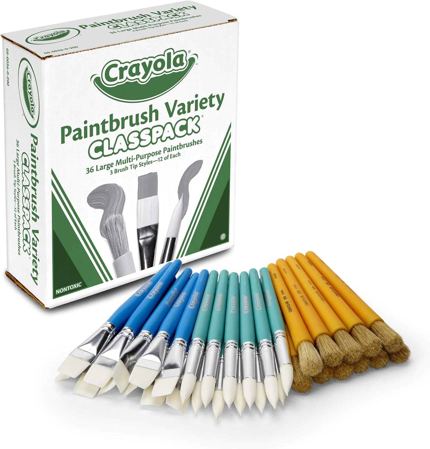 Amazon.com: Crayola Paintbrush Variety Classpack, School Supplies, 36 ...