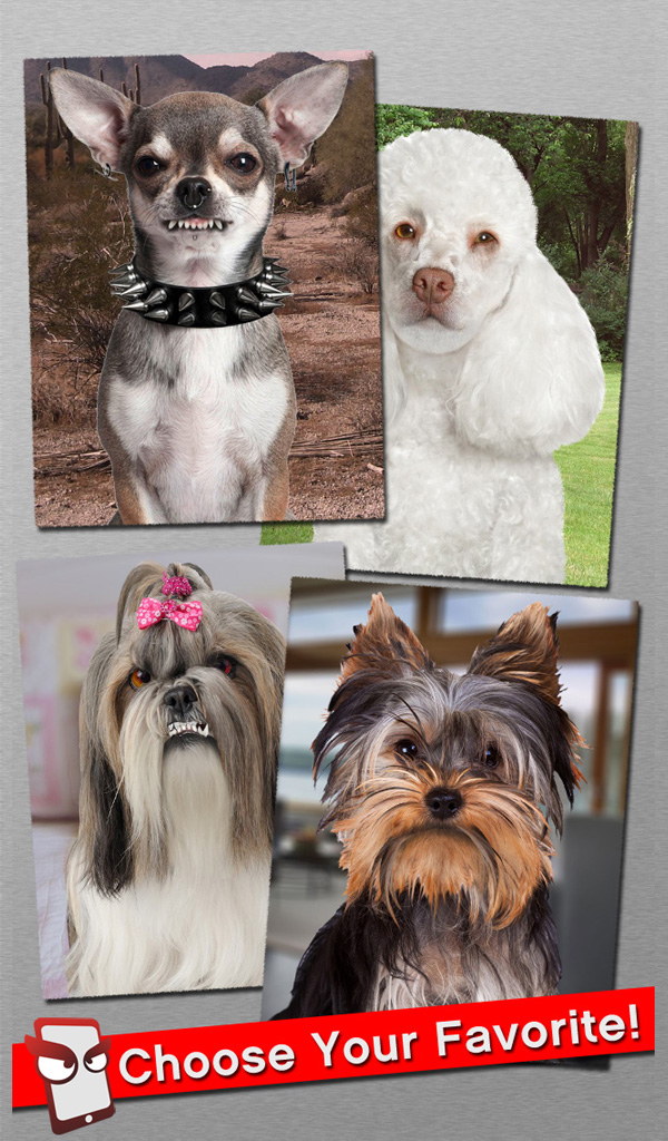 AngryDog Free - The Angry Dog Simulator - App on Amazon Appstore