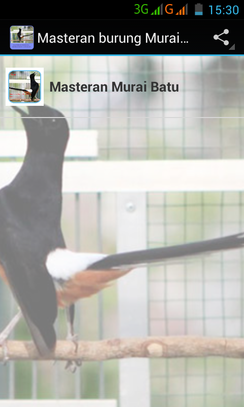 Chirping Bird Master murai stone - App on Amazon Appstore