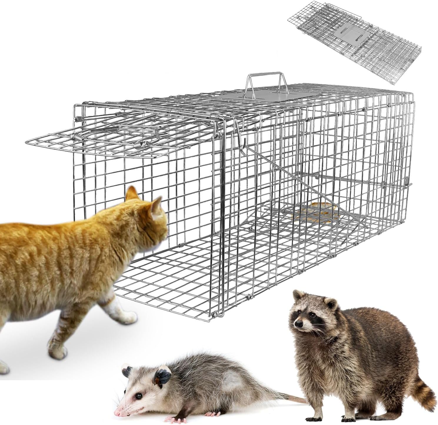 Amazon.com : KOCASO Large Live Animal Trap Cage, 31"x11"x12" Foldable ...