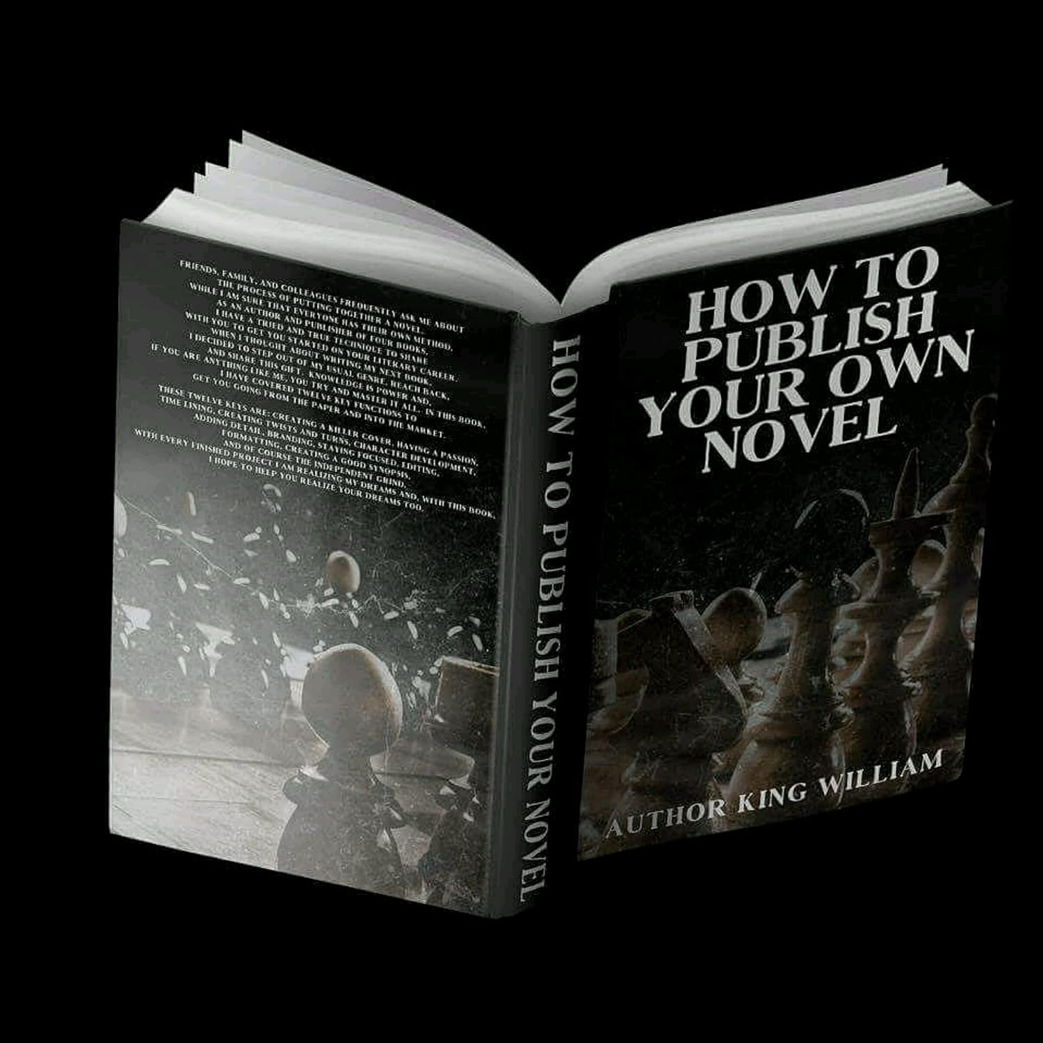 Amazon.com: How to Publish Your Own Novel (Audible Audio Edition): King ...
