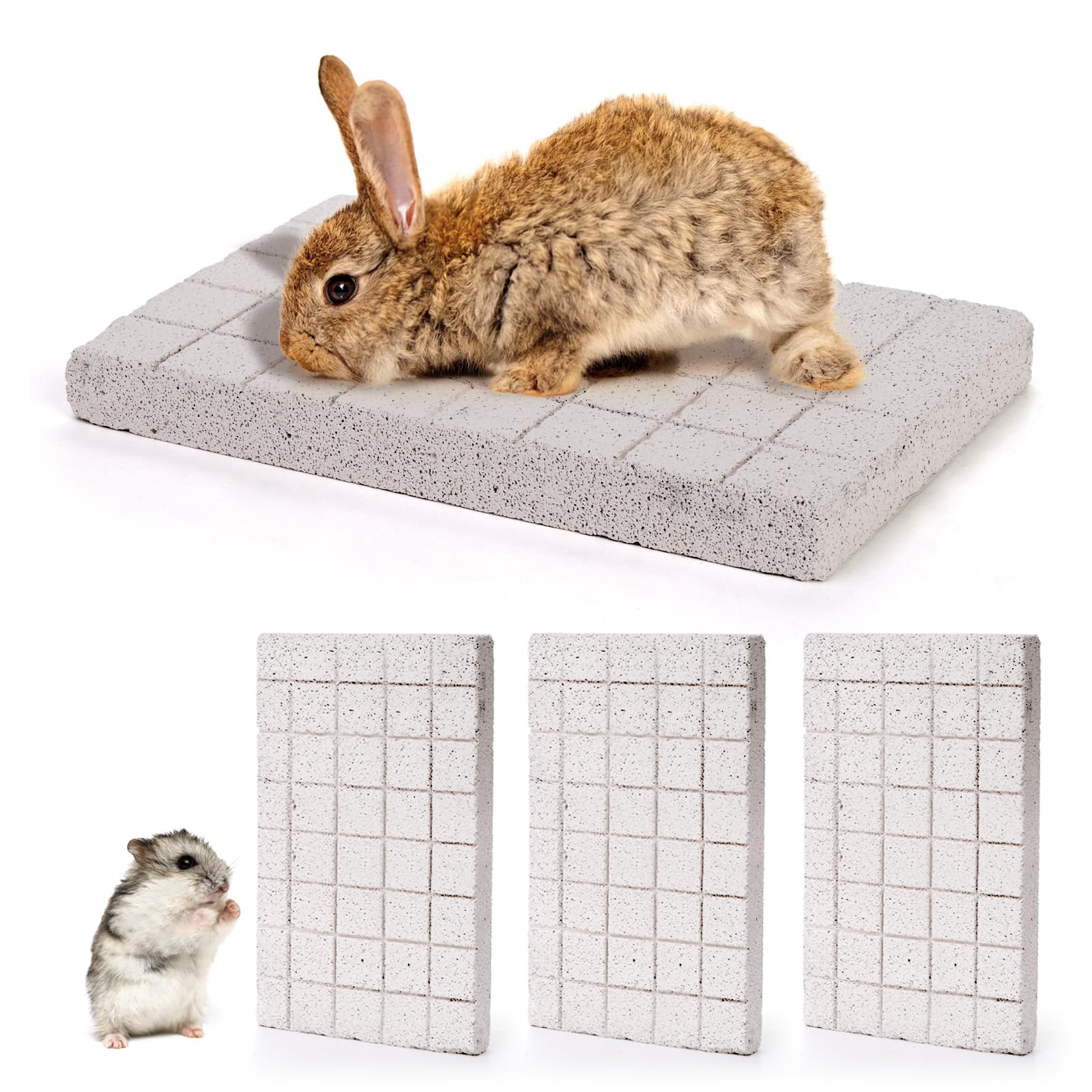 Amazon.com : Coloch 4 Pack Bunny Scratching Board, Rabbit Scratching ...