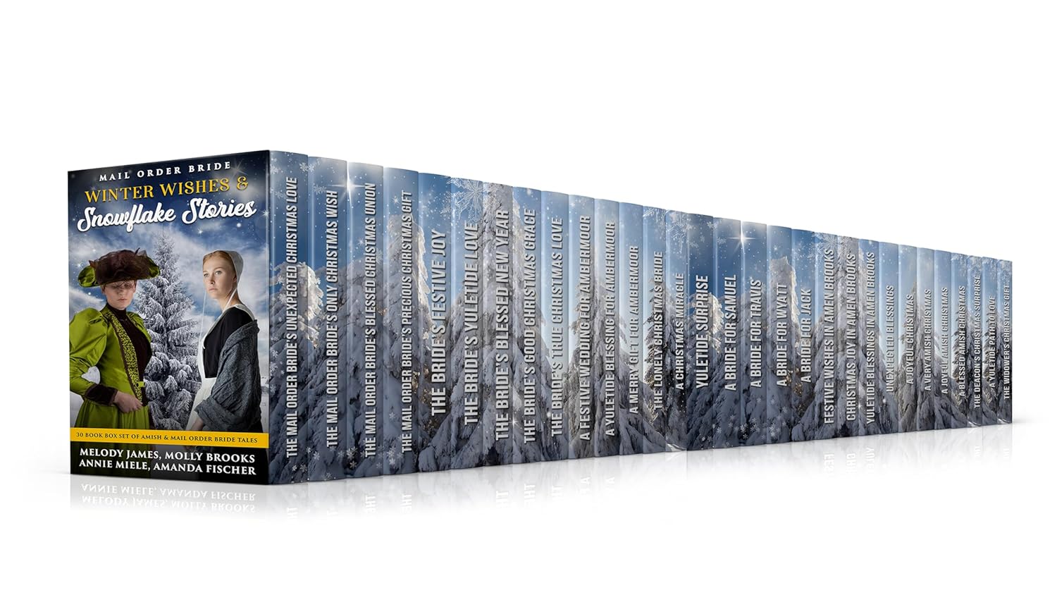 Amazon.com: Winter Wishes and Snowflake Stories: 30 Book Box Set of ...