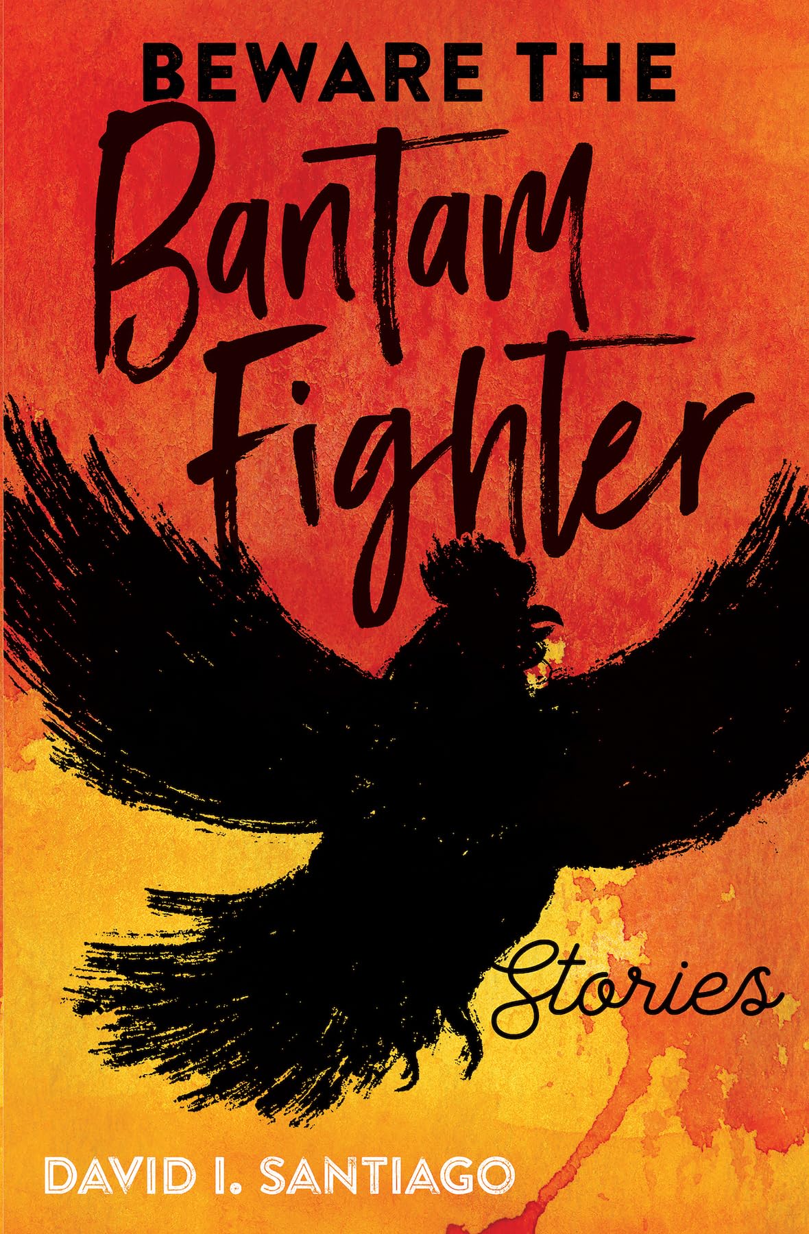 Book review of Beware the Bantam Fighter - Readers' Favorite: Book ...