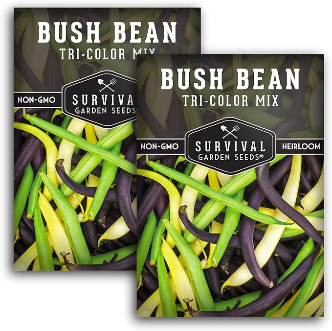 Amazon.com: Survival Garden Seeds - Tri-Color Bean Seed for Planting ...