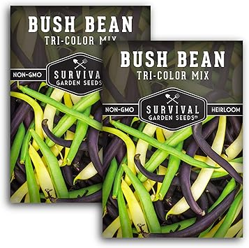 Amazon.com: Survival Garden Seeds - Tri-Color Bean Seed for Planting ...
