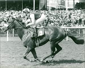 Amazon.com: Paul Eddery - Vintage Press Photo : Everything Else