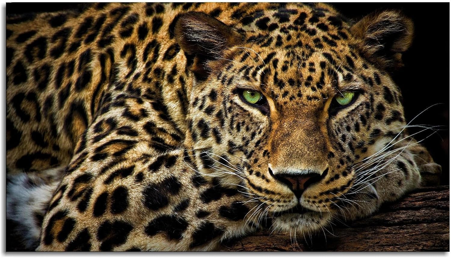 Amazon.com: ewfas Leopard Poster Pictures Canvas Wall Art Animal Prints ...