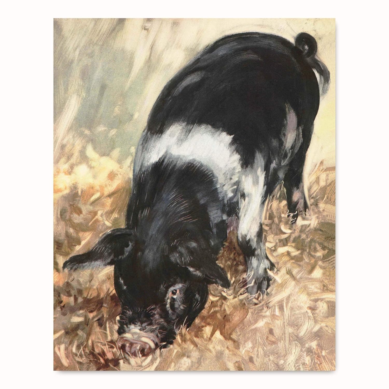 Amazon.com: Pig Art Print, Rustic Home Decor, Farmhouse Wall Art ...