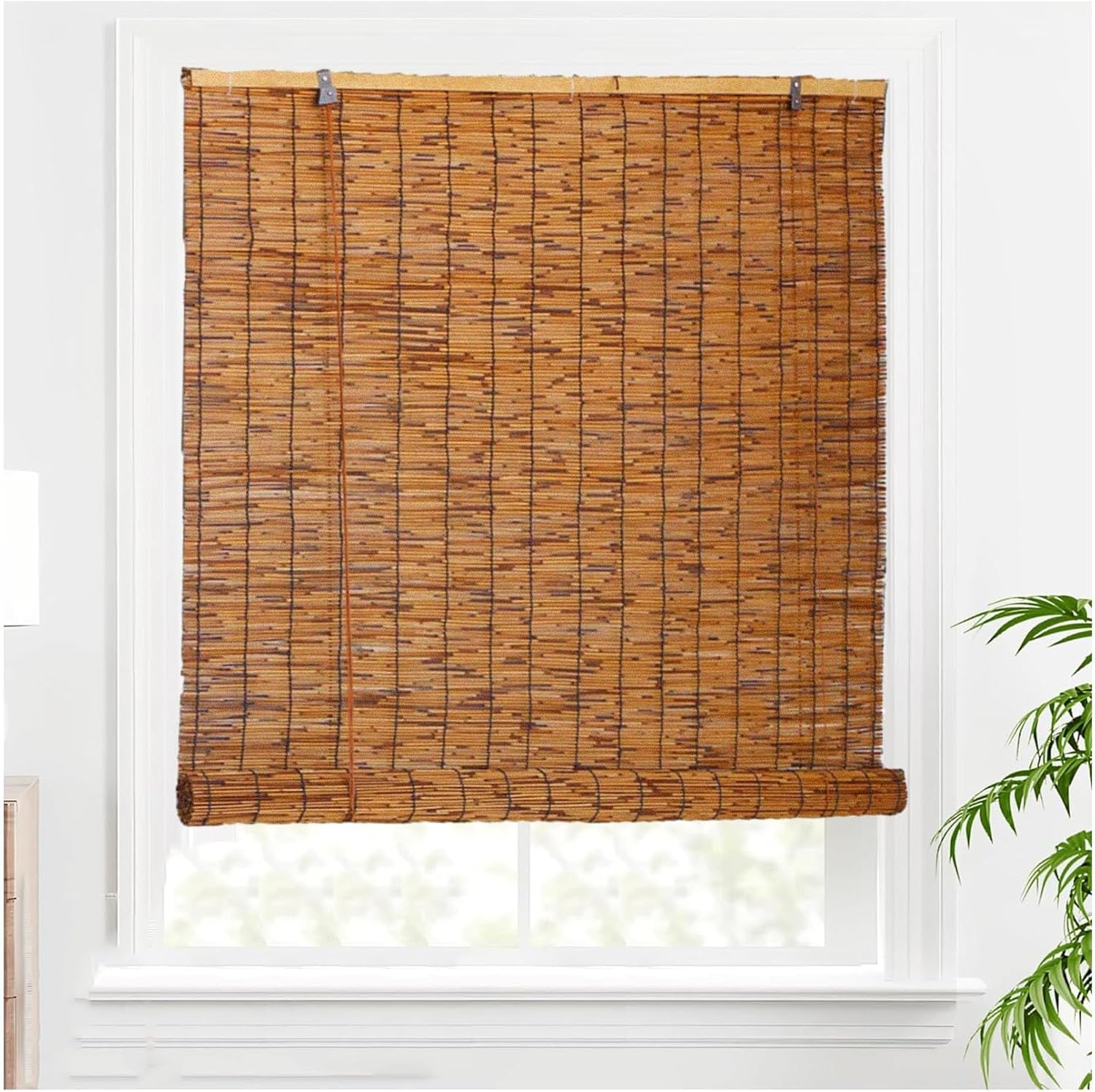 Amazon.com: 26" 34" 36" 40" 42" 46" 48" 54" 60" 66" 72" Wide, Blackout ...