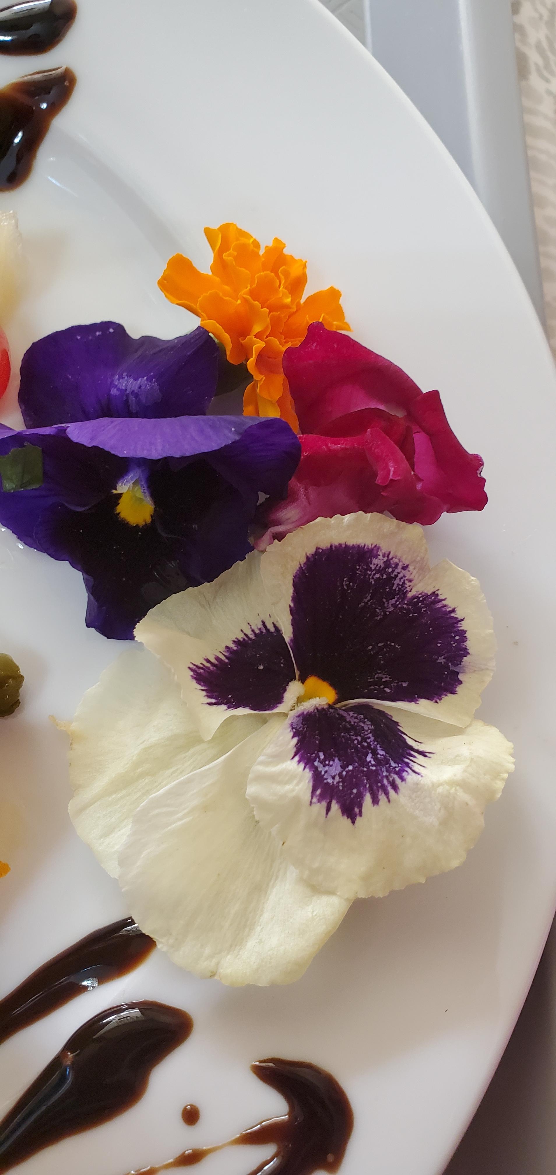 Amazon.com: That's Tasty Organic Edible Flower, 16 CT : Grocery ...
