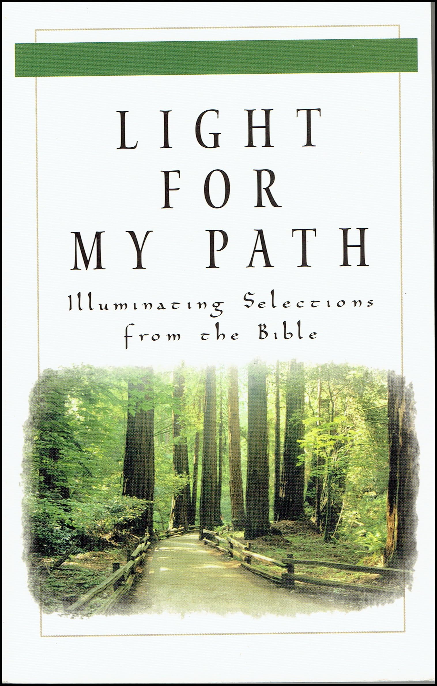 Light for My Path: Illuminating Selections from the Bible: Various ...