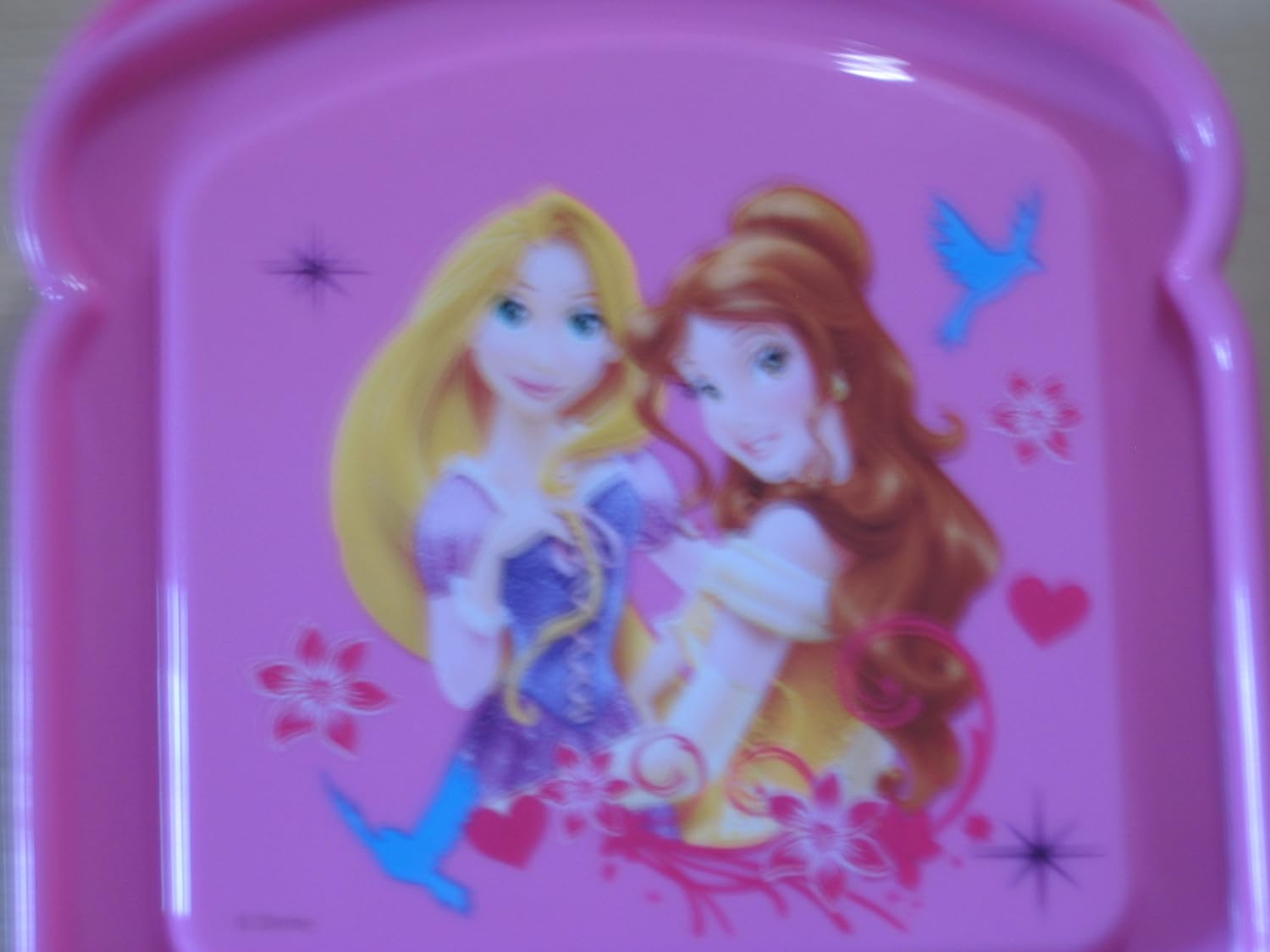 Amazon.com: Disney Princess Sandwich Keeper, Snack Container ...