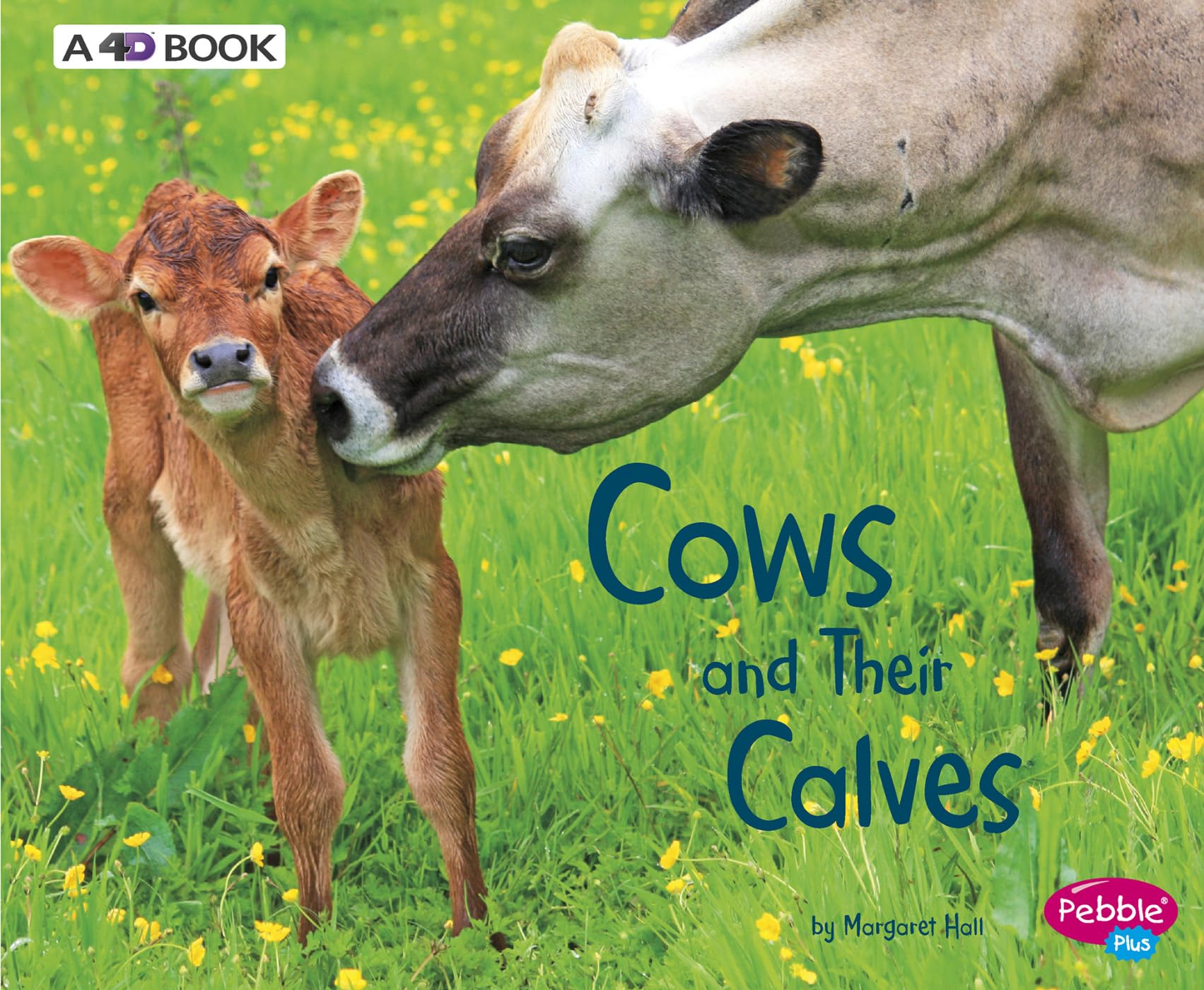 Cows and Their Calves: A 4D Book (Animal Offspring): Hall, Margaret ...