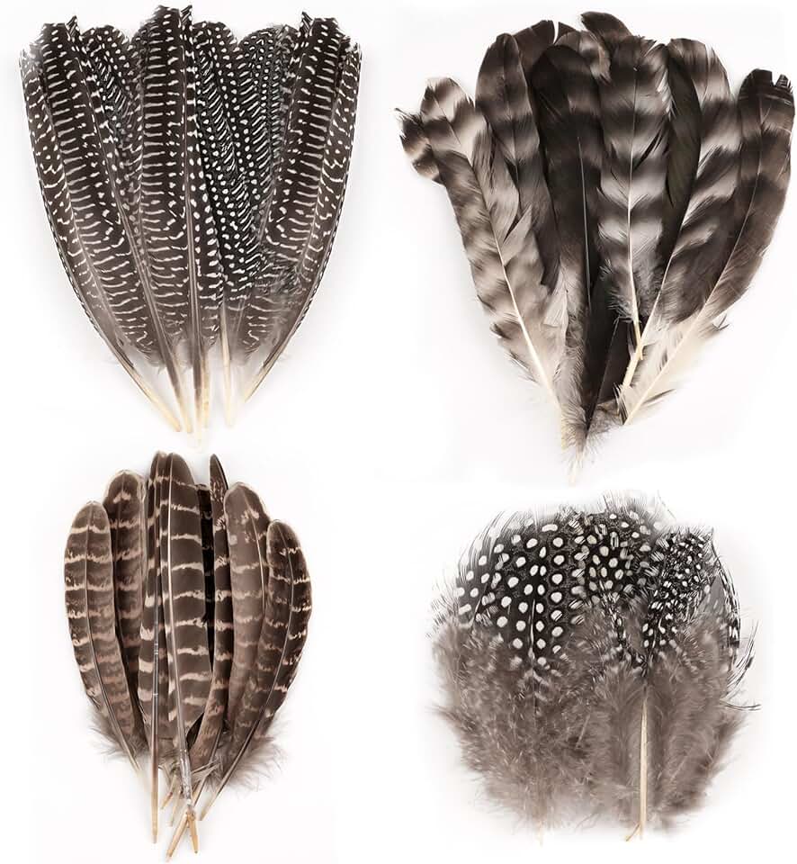 Amazon.co.uk: Feathers