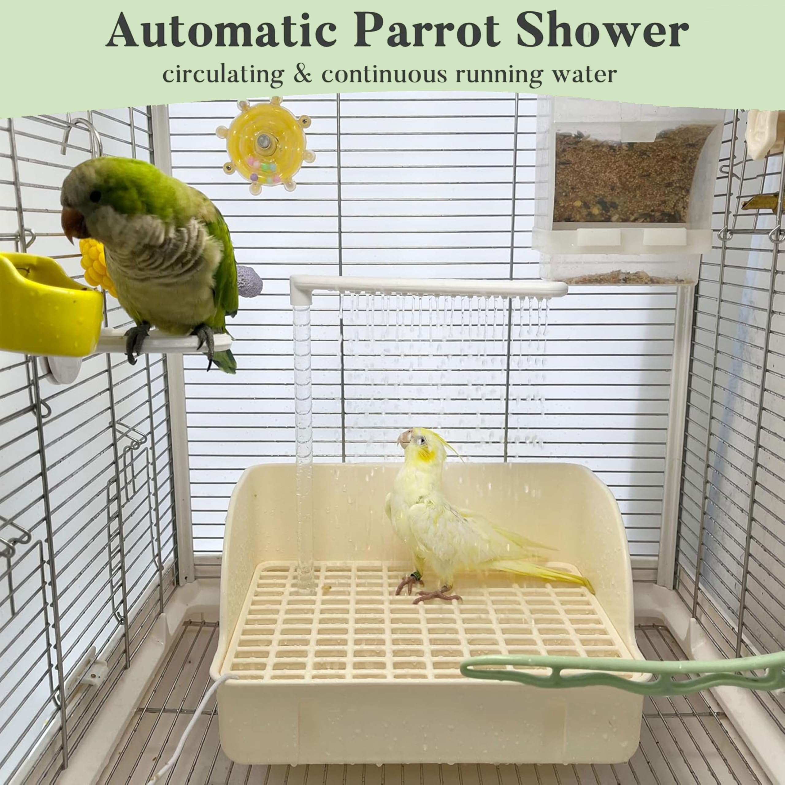 Bird Shower Bath Bird Bath For Cage Automatic Bird Bath With Pump ...