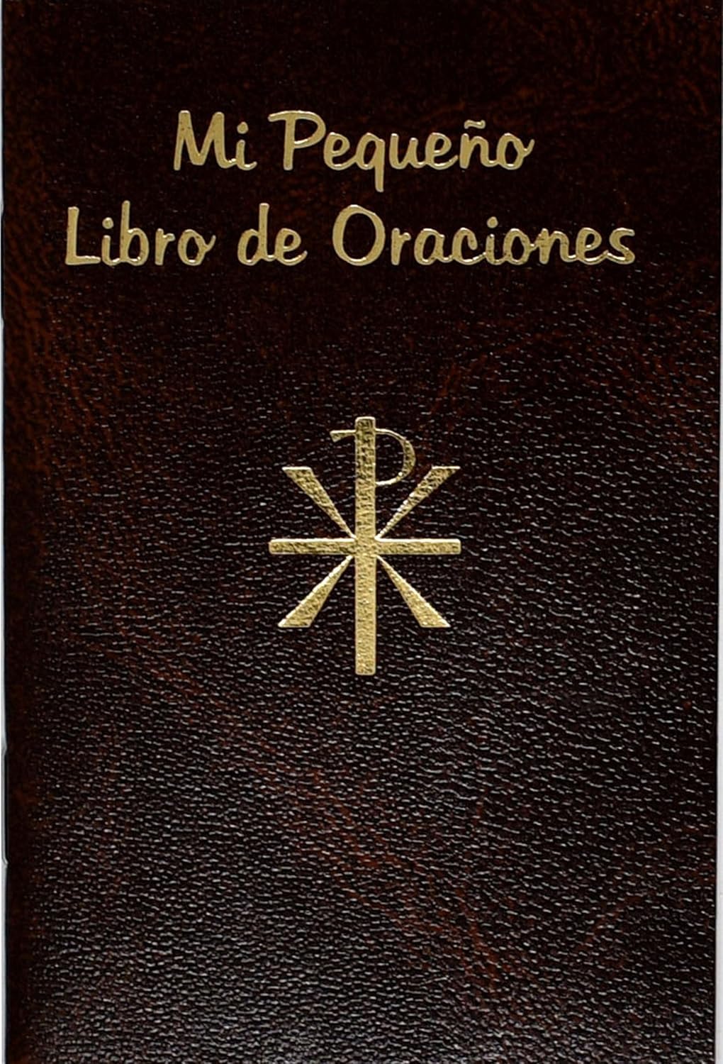 Mi Pequeno Libro de Oraciones: Lovasik, Lawrence G: 9780899420332 ...