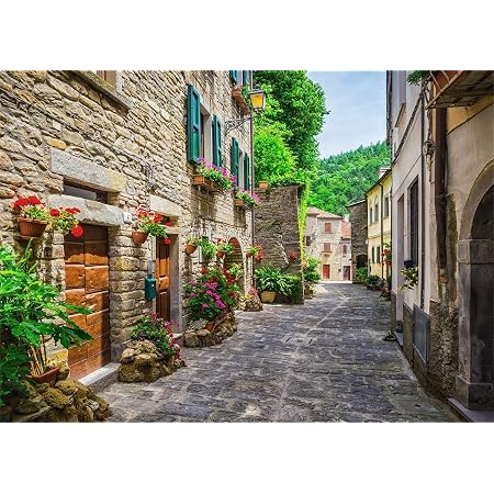 Amazon.com : BELECO 7x5ft Fabric Italy Street Photography Backdrop ...