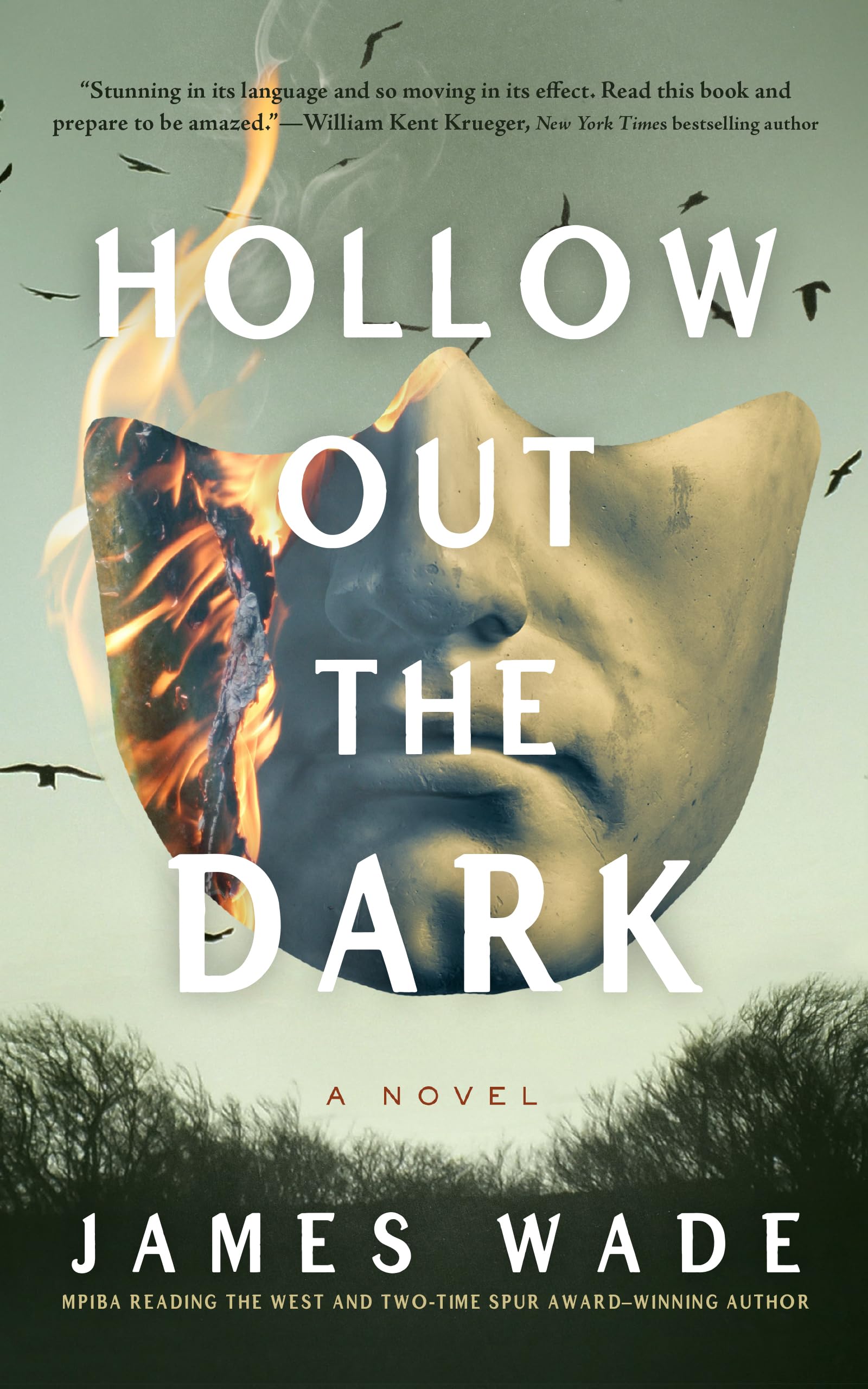 Amazon.com: Hollow Out the Dark: A Novel: 9781982601119: James Wade: Books