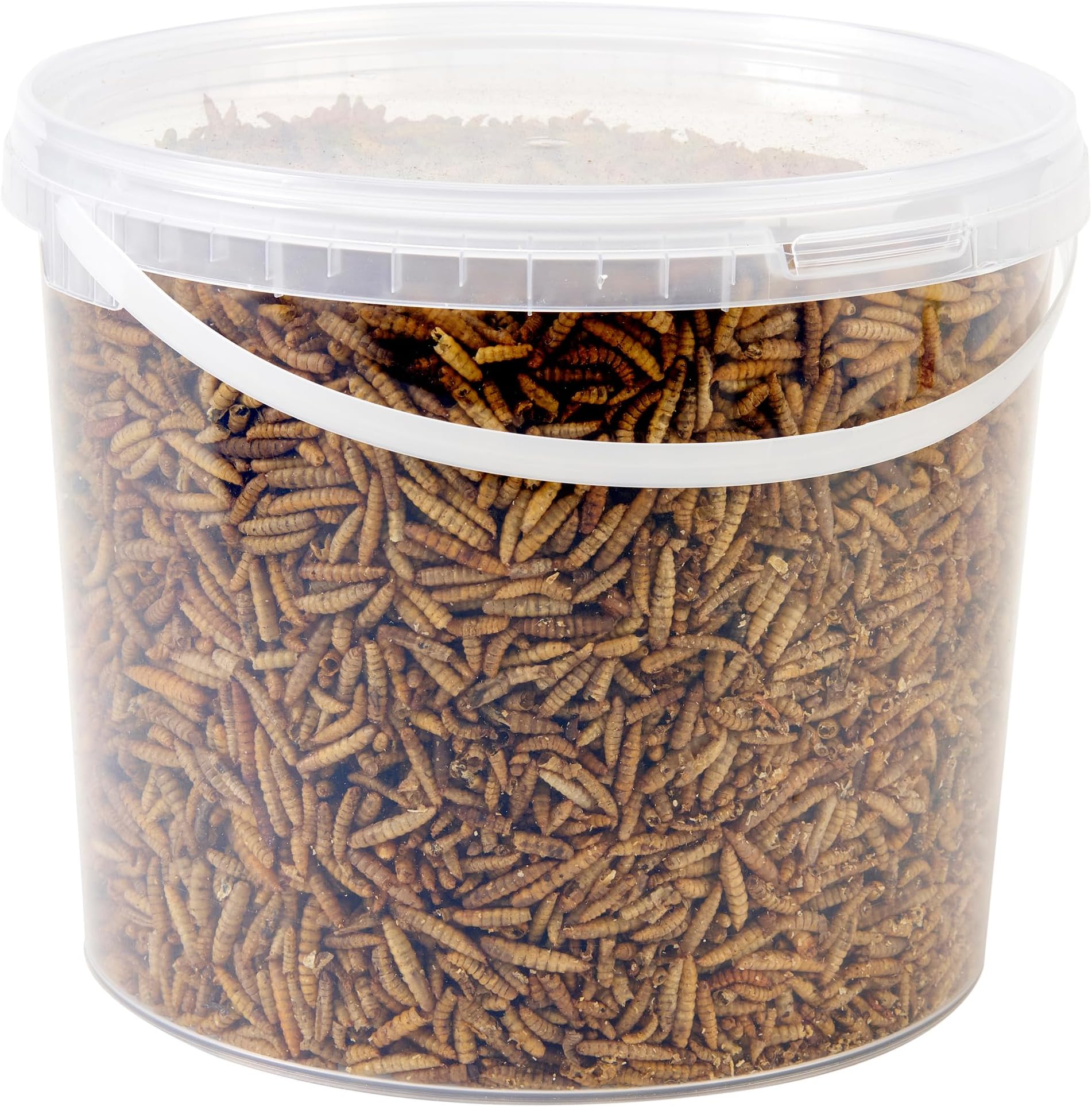 Calci Worms for Wild Birds 10L Tub - Quality bird food and Easy to Feed ...