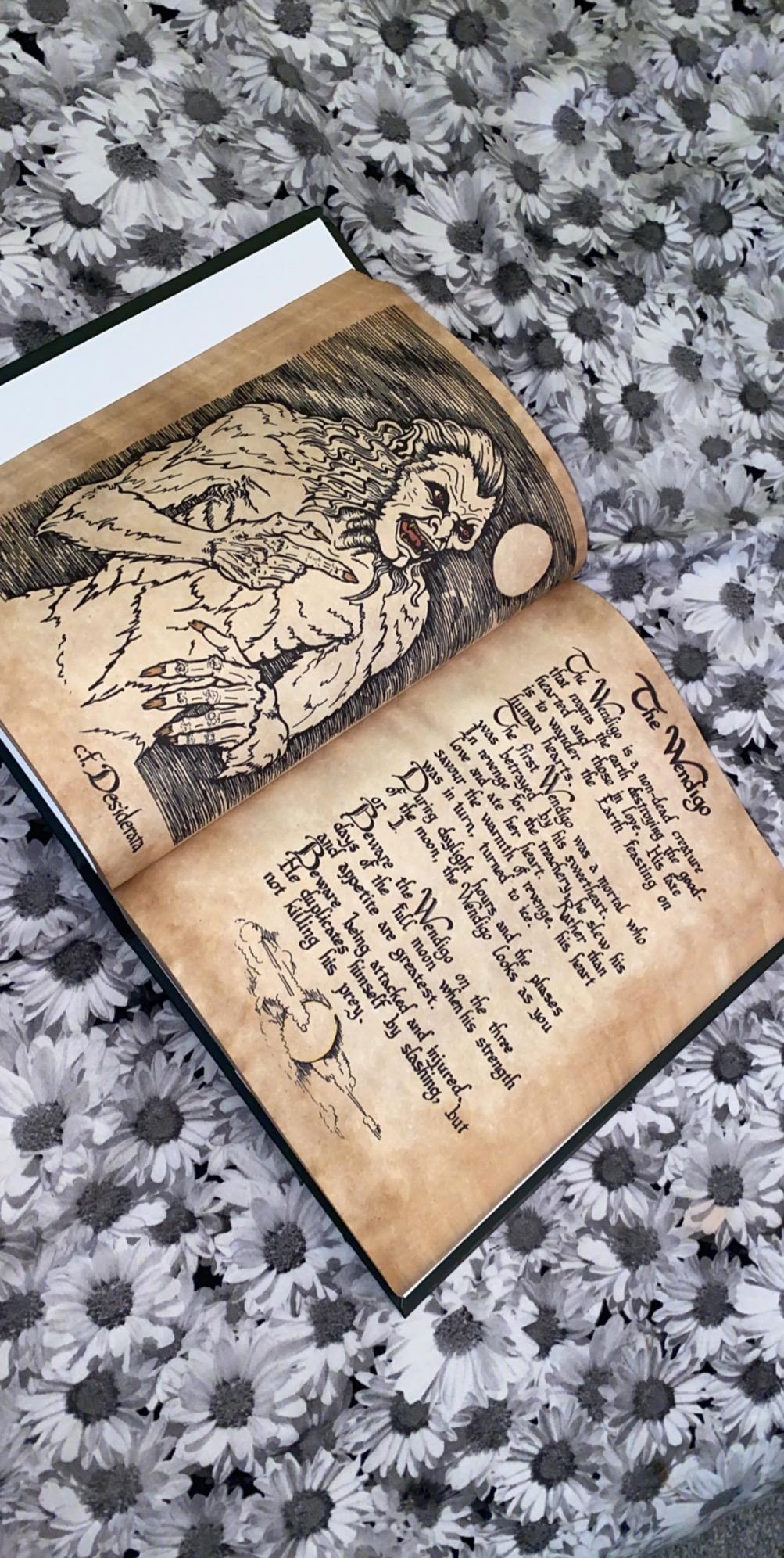 Charmed Book of Shadows Replica: Amazon.co.uk: Rodriguez, Yirka ...