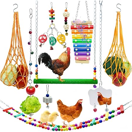 Amazon.com : Hipykat 8 Packs Chicken Toys Set - with Chicken Xylophone ...