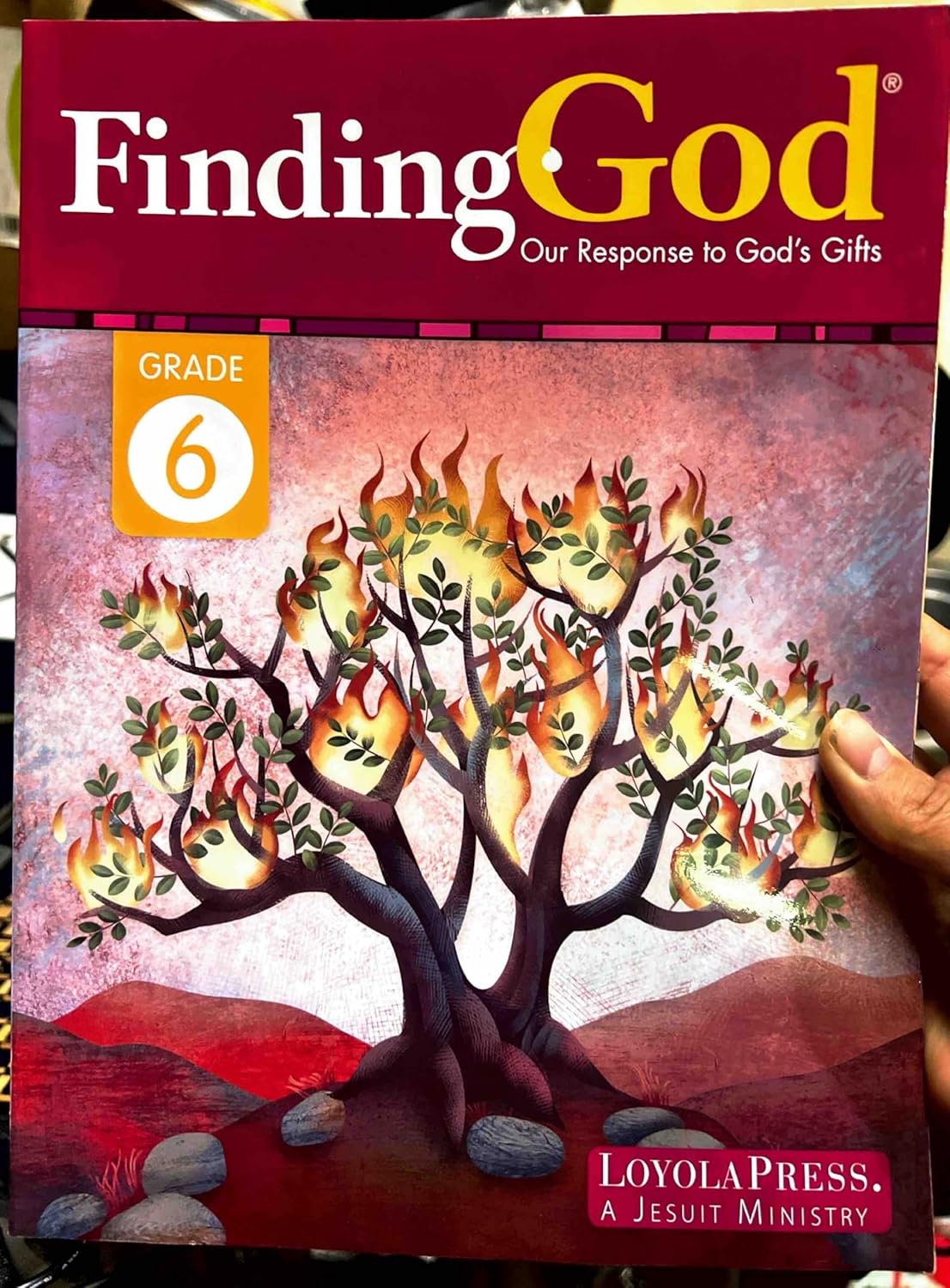 Finding God ,Grade 6: Marina Seoane: 9780829446296: Amazon.com: Books