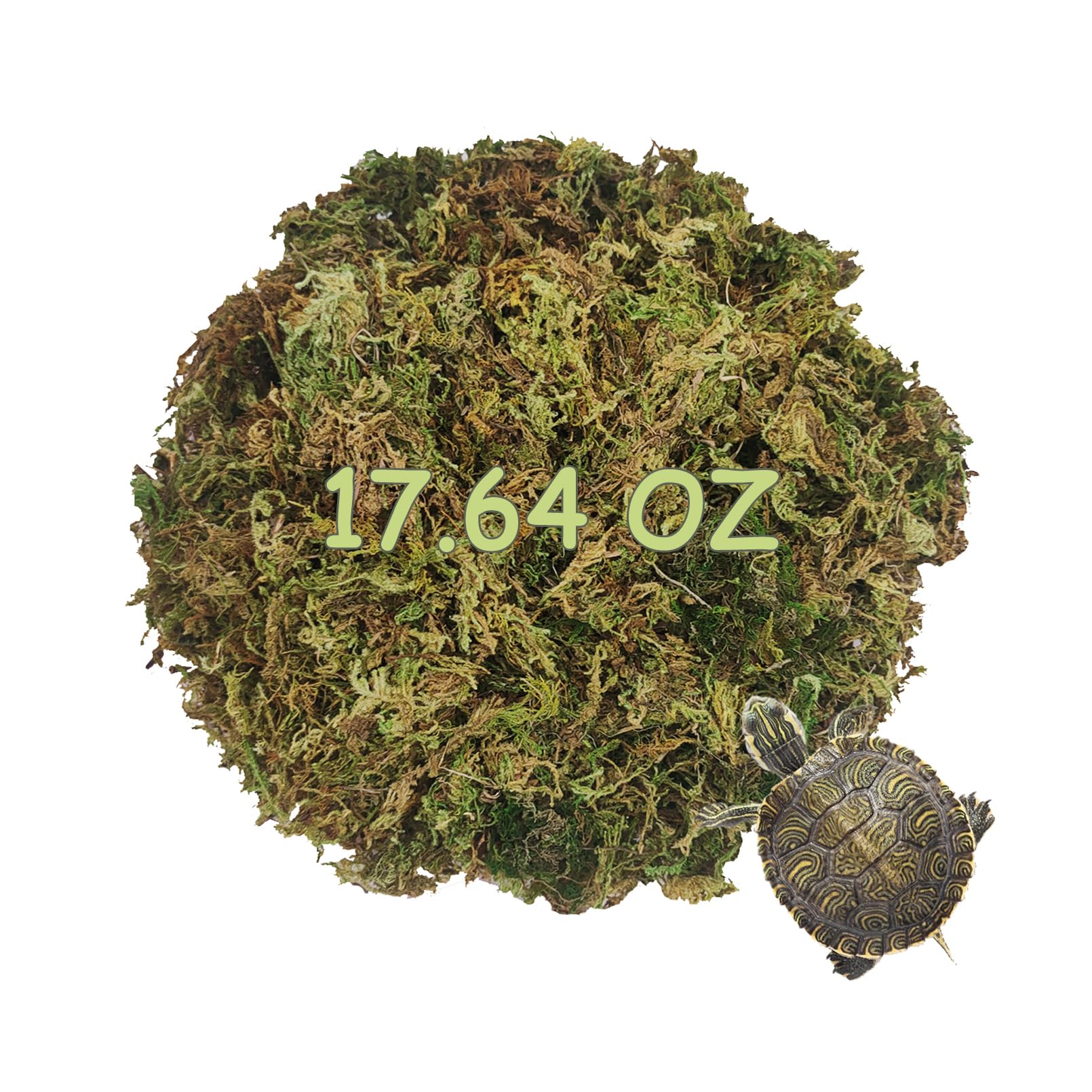 Buy Hamiledyi Natural Sphagnum Moss Terrarium Reptile Moss for Frogs ...