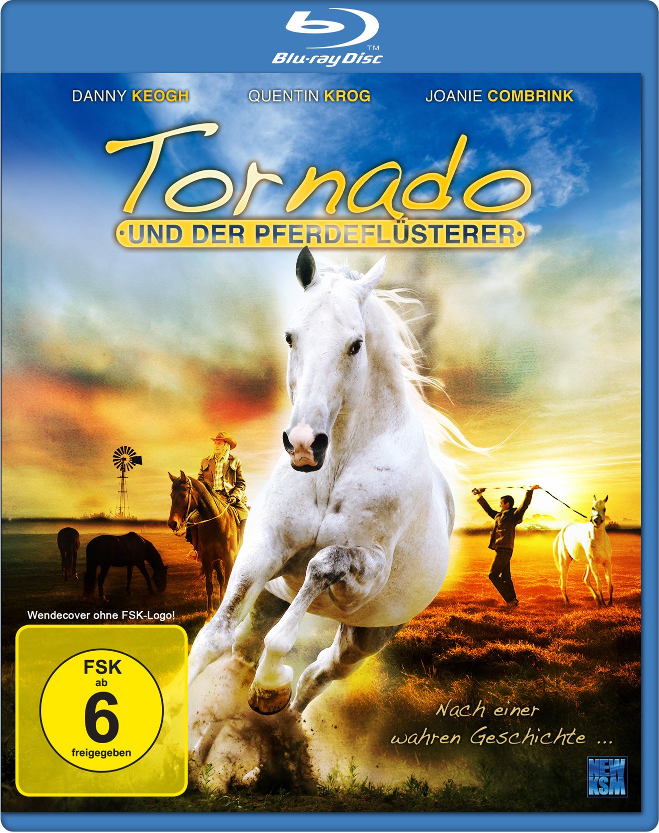 Tornado und der Pferdeflüsterer [Blu-ray]: Amazon.de: Danny Keogh ...