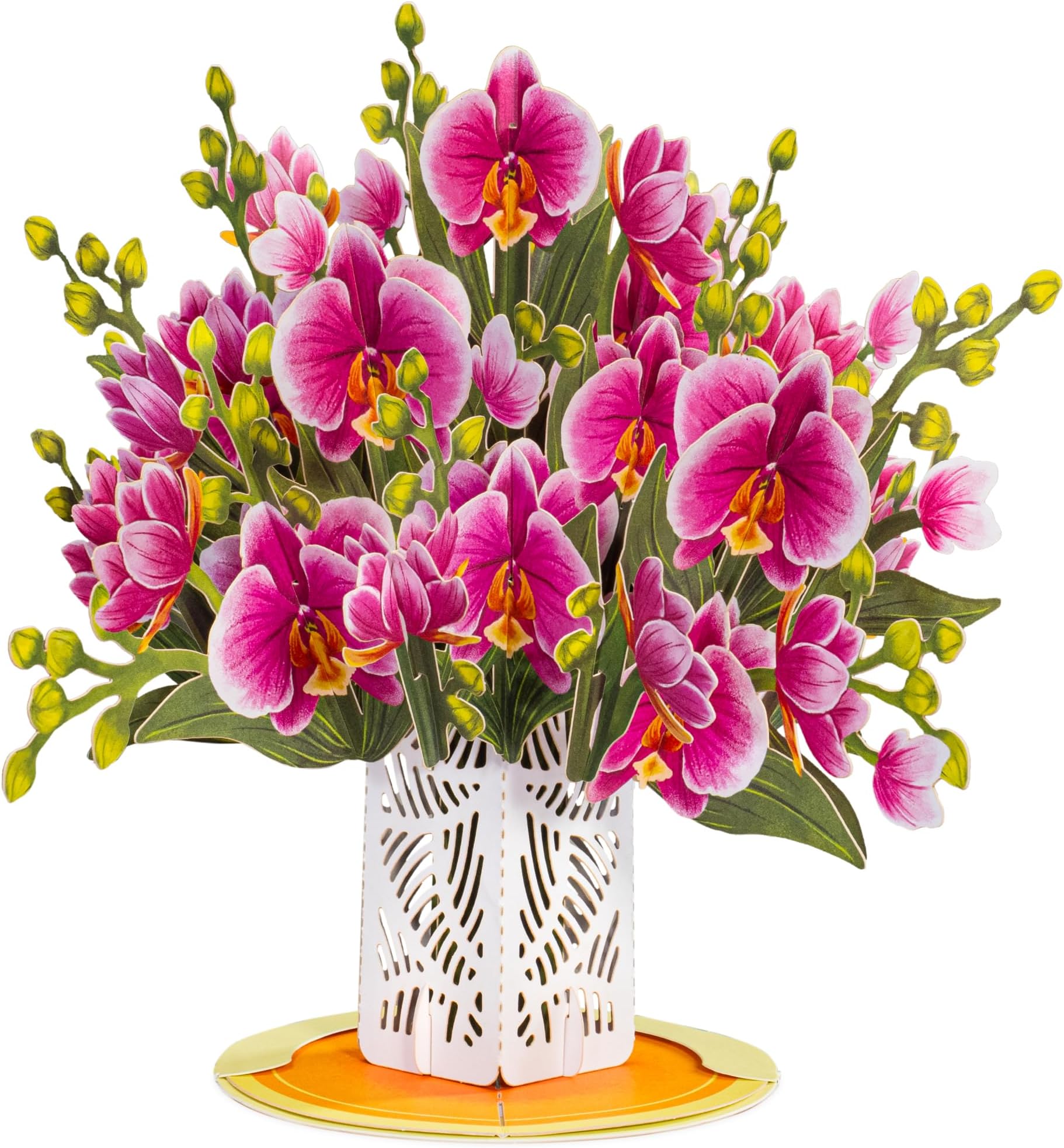 Amazon.com : Magic Ants Flower Paper Pop Up Cards - Mother's Day ...