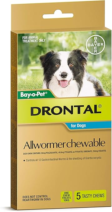 Drontal Allwormer Chews for Dogs 3-10kg, 5 Pack, 5 chews : Amazon.com ...