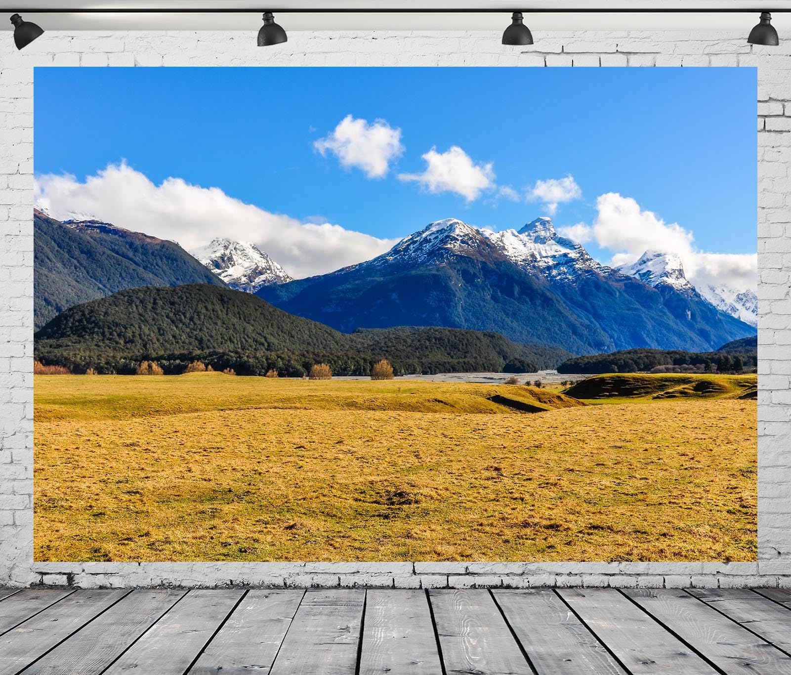 Lanscape Backdrop