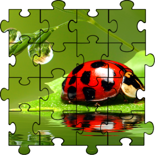Ladybug Puzzle - App on Amazon Appstore