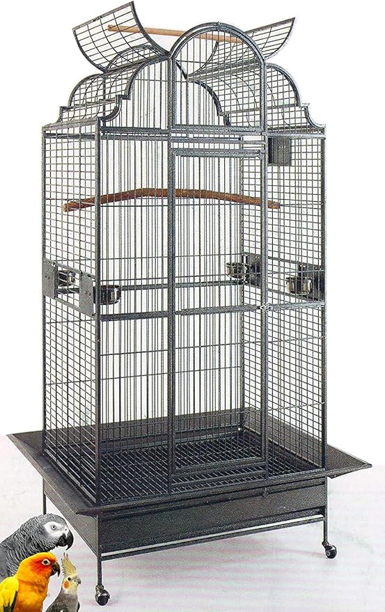 Amazon.com: Large Stylish Play Dome Top Durable Wrought Iron Bird ...