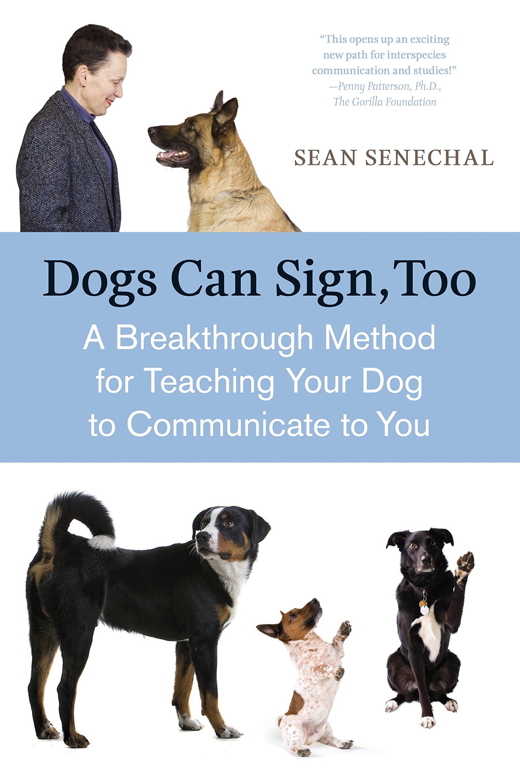 How Do Dogs Communicate With Humans at Julie Lundy blog