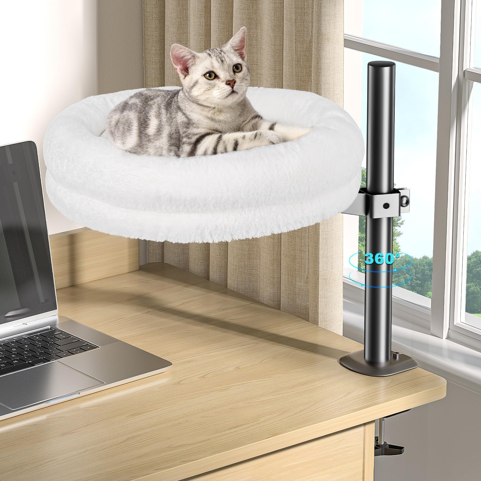 Amazon.com : ROLLERPAWSTER Cat Desk Bed - Cat Desk Perch, Sturdy ...