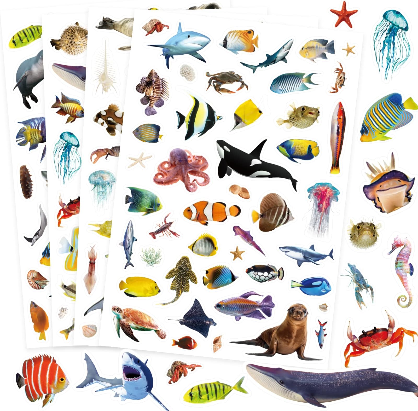 Amazon.com: 1200 PCS Ocean Animal Stickers Roll Sea Animal Stickers in ...