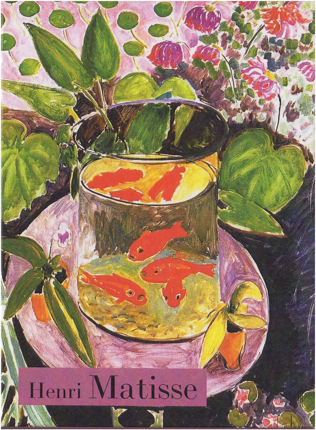 Amazon.com : Greeted Card Collection Henri Matisse Floral Note Card Set ...